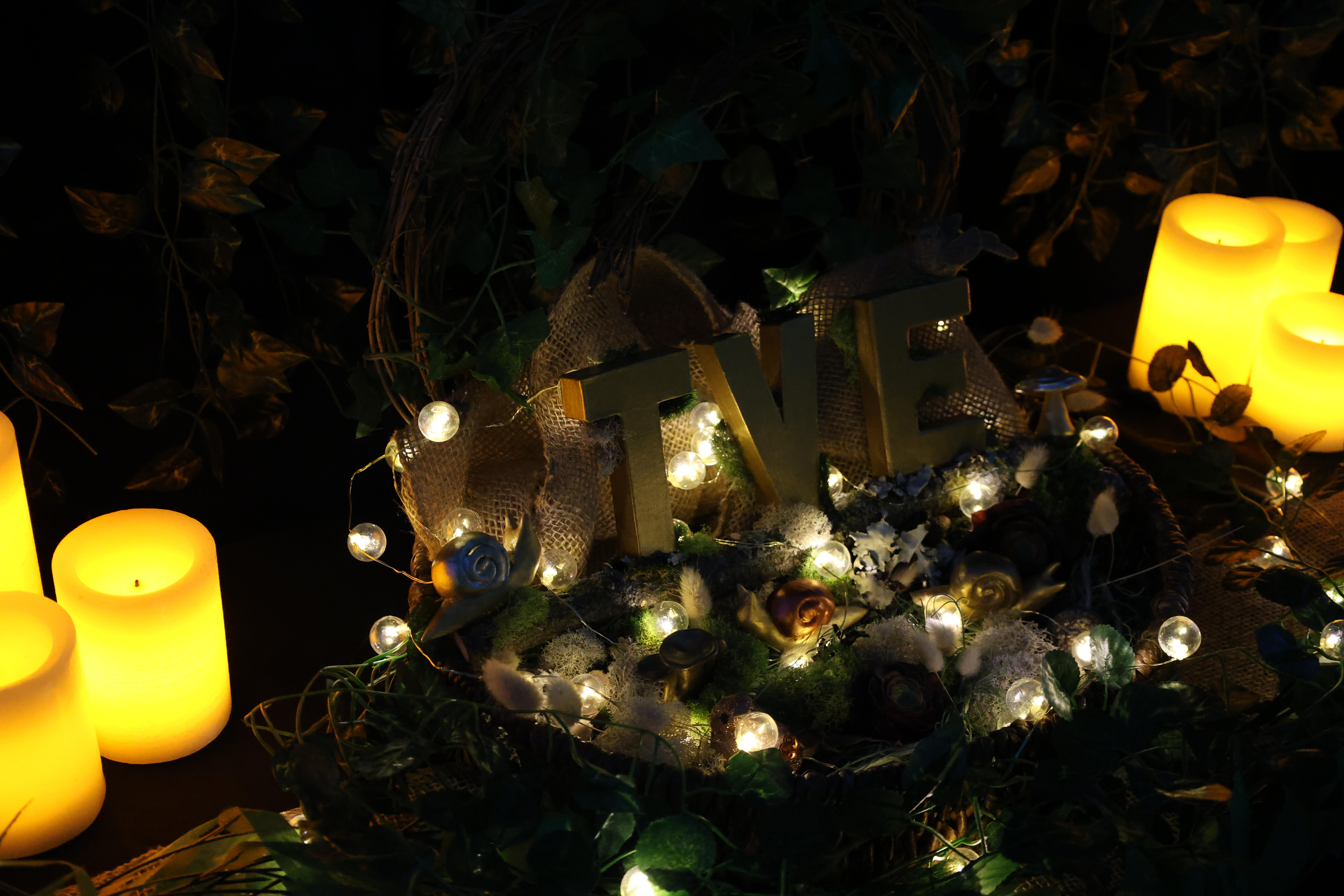 Enchanted Forest – 2024 Teen Formal! – The Lighthouse